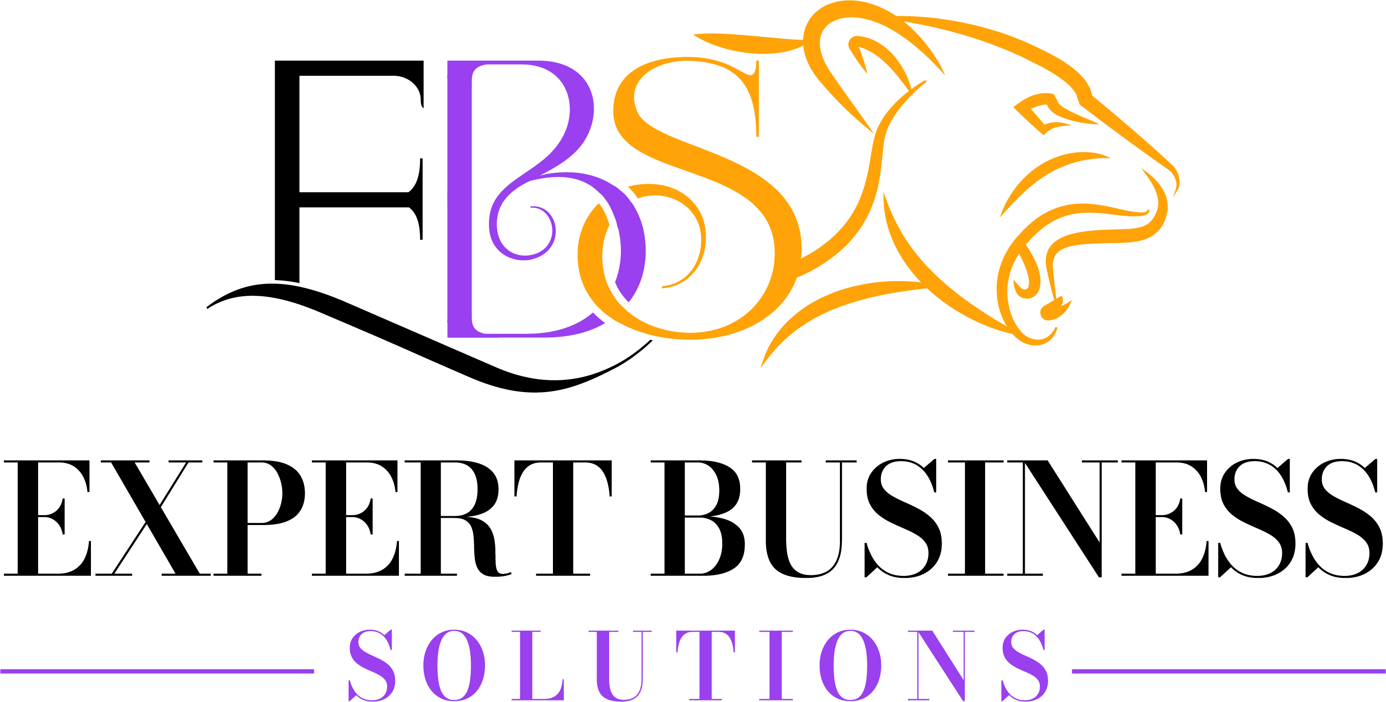 Expert Business Solutions, LLC
